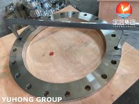 China DIN2576 F316L Stainless Steel Slip On Flange Socket Weld Forged Flange for sale