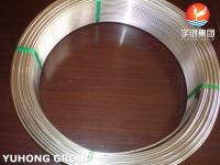 China Heat-exchanger/Boiler tube Pickled / Bright Annealed Surface Stainless Steel Seamless Tube  ASME SA213 TP316/316L for sale