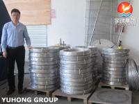 China Heat-exchanger/Boiler tube Pickled / Bright Annealed Surface Stainless Steel Seamless Tube  ASME SA213 TP316/316L for sale