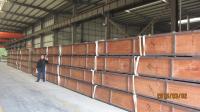 China Stainless Steel Welded Pipe，JIS G3459 SUS316L , SUS304L, 125 A , 150A ,  SCH 40 , 6M Pickled and Annealed, Plain End for sale