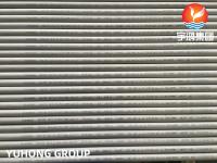 China Stainless Steel Corrugated Tubes For Heat Exchangers TP304 / TP304L TP316 / TP316L 19.05X2.11MM for sale