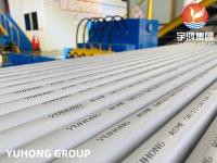 China ASME SA213 TP316/316L 1.4401/1.4404 Stainless Steel Seamless Heat Exchanger Tube for sale