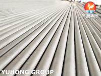 China A789/SA789 S31803 DUPLEX 2205 SEAMLESS TYPE HEAT EXCHANGE TUBES for sale