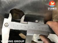 China ASTM A240 F904L / UNS N08904 AWWA C207 Ring Type Flange for Waterworks Service for sale