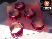 China Lap Joint Stub End WP904L Stainless Steel Butt Weld Fittings ASTM B366 UNS N08904 for sale