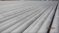 China Heat Exchanger Seamless Tube , A213 TP304L , 3/4