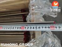 China Stainless Steel Tubes Bright Annealed ASTM A213 / ASTM A269 TP304 316L 19.05MM for sale