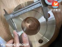 China ASME SB564 UNS N02200 Nickel 200 DIN24066 Stainless Steel WNRF Flange for sale