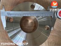 China ASME SB564 UNS N02200 Nickel 200 DIN24066 Stainless Steel WNRF Flange for sale
