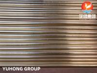 China ASME SB111/ASTM B111 C44300 Cooper seamless Tube Applied For Condenser for sale