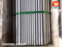 China ASME SA213 TP321 / 1.4541 / S32100 Stainless Steel Seamless Boiler Tube With NDT for sale