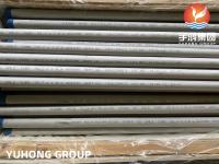 China ASTM A213 TP304 1.4301 Seamless Tube Austenitic For High Temperature for sale