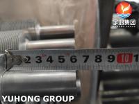 China EN 10217-7 1.4301 / 304 Extruded Fin Tube  Aluminum Fin Tube 2M/3M For Dryer for sale