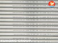 China ASTM A269 TP304L Stainless Steel Seamless Heat Exchanger Tube for sale