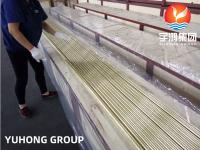 China ASTM B111 C44300 Seamless Copper Alloy Tube Brass Tube For Evaporator Tubing for sale