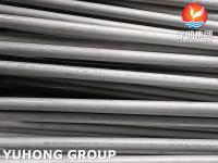 China ASTM A213/ ASME SA213 TP317L/1.4438/UNS S31703 U Bending Tube For Heat Exchanger for sale