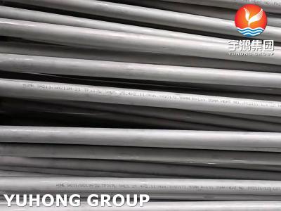 China ASTM A213/ ASME SA213 TP317L/1.4438/UNS S31703 U Bending Tube For Heat Exchanger for sale