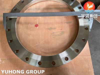 China DIN2576 ASTM A182 F316L Pn10 Slip On Flange Stainless Steel Forged Flange for sale