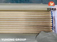 China COPPER ALLOY SMLS TUBE SB111 C44300 O61 ANNEALED ADMIRALTY BRASS for sale