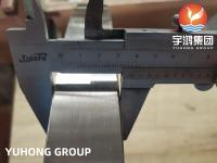 China ASTM A182 F316L 1.4404 Corrosion Resistance Tubesheet مبادل حراري for sale