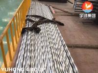 China TP304 / TP304L TP316 / TP316L Stainless Steel Corrugated Tubes For Heat Exchangers for sale