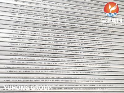 China ASTM A213 TP304 / 1.4301 / S30400 Stainless Steel Seamless Boiler Tube For Super Heater for sale