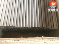 China ASTM A213 TP304 / 1.4301 / S30400 Stainless Steel Seamless Boiler Tube For Super Heater for sale