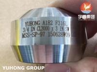 China SS Weldolet A182 F316 / F316L Outlet Stainless Steel Forged Fitting for sale
