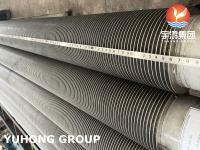 China Stainless Steel High Frequency Welded Fin Tube, TP304H SMLS Pipe With SS304 Solid Fin For Power Plants for sale