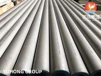 China Duplex Steel Seamless  Pipe  ASTM A790 S31803  Chemical plant Application for sale