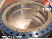China Duplex Steel Body Flange, ASTM A182 Grade F51 (UNS S31803), Suitable For Corrosive Environments for sale