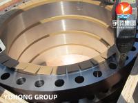 China Duplex Steel Body Flange, ASTM A182 Grade F51 (UNS S31803), Suitable For Corrosive Environments for sale