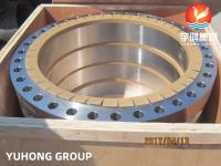 China Duplex Steel Body Flange, ASTM A182 Grade F51 (UNS S31803), Suitable For Corrosive Environments for sale