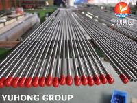 China ASTM A213 / A269 TP304 / 304L Seamless Austenitic Steel Tube 19.05 X 1.65 X 6096MM for sale