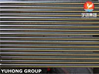 China ASTM A269 TP316L, SUS316L, 1.4404 BA Stainless Steel Seamless Tube, Heat Exchanger Tube for sale