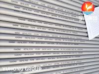 China ASTM A312 TP304L Stainless Steel Seamless Pipe for Petrochemical Application for sale