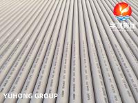 China ASTM A312 TP304L Stainless Steel Seamless Pipe for Petrochemical Application for sale