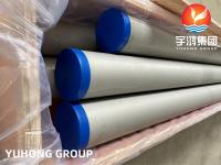 China ASTM A312 UNS31254 / 1.4547 / 6 Mo / 254Mo Seamless Steel Pipe For Saltwater Handling for sale