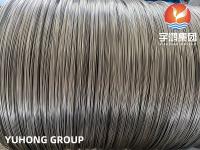 China Stainless Steel AISI 304 / 304L / 316L Needle Medical Capillary Tube for sale