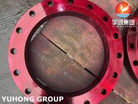 China ASTM A182 F904L FLANGE SORF. 18