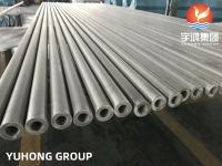 China Heat Exchanger Seamless Tube TP304/304L , TP316L , TP310S , TP316Ti, TP321/321H , TP347 , TP317 for Air Cooler for sale
