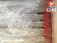 China ASTM A213 / ASME SA213 Stainless Steel 304 Seamless Bright Annealed Tube for sale