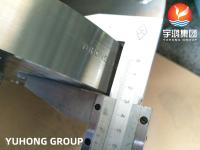 China Forged Flange ASTM A182 F317L Blind Flange Stainless Steel Closure Plate Flange for sale