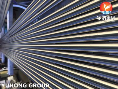 China Bright Annealed Stainless Steel Seamless Tube  A269 TP316 TP316L / TP316Ti For Food Industry for sale
