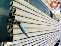 China Stainless Steel Seamless Pipe ASTM A312 TP316L Oil Heat Exchangers  Food Chemical for sale
