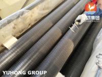 China FAST HEAT DISSIPATION HIGH FREQUENCY WELDED FIN TUBE CS PIPE AND FIN for sale