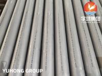 China ASTM A312 TP310S 1.4845 Austenitic Stainless Steel Seamless Pipe for sale
