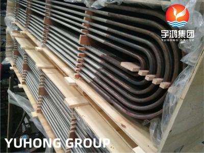 China Mill Finished Heat Exchanger Tubes TP304L TP 304,TP316,TP316L  Stainless Steel U Bend Tube for sale