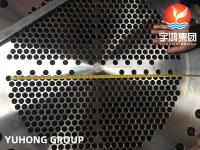 China ASTM A182 F316L Stainless Steel Tube Sheet  Tubular heat exchanger for sale