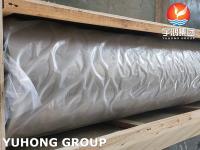 China Condenser Large Diameter Steel Pipe  Seamless Tube And Pipe EN10216-5 Material TP310S ,904L for sale